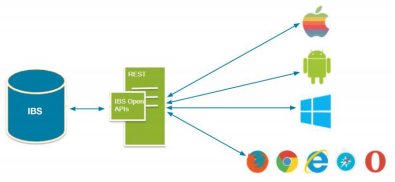The API Developer Experience Enabling Rapid Integration - FIS Blog | FIS